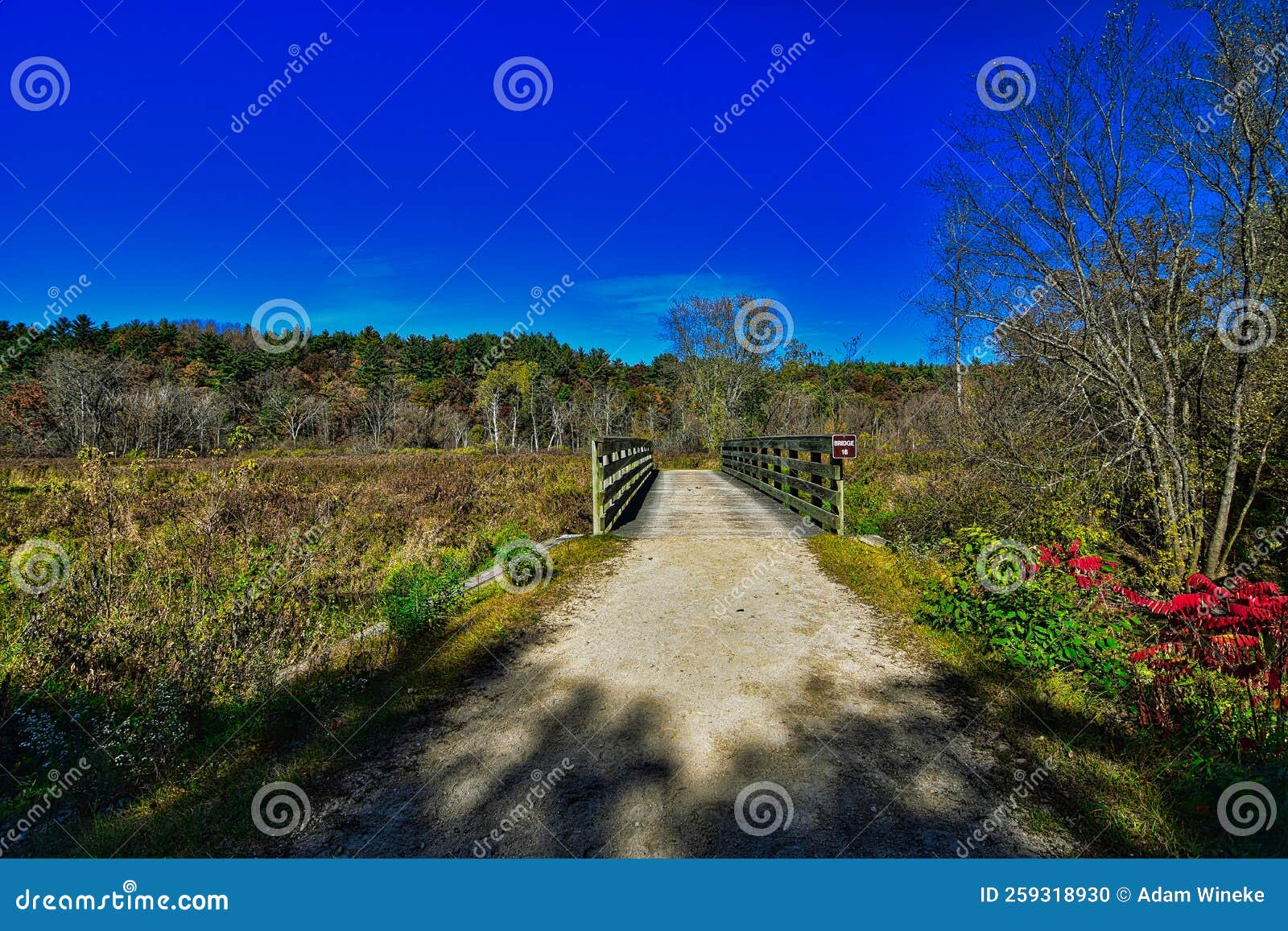 Bridge during Fall Colors Over the Kickapoo River Near Lafarge at the ...