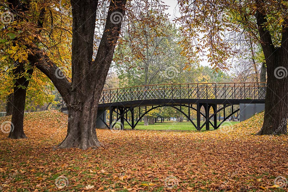Bridge in the fall stock photo. Image of garden, season - 128476100