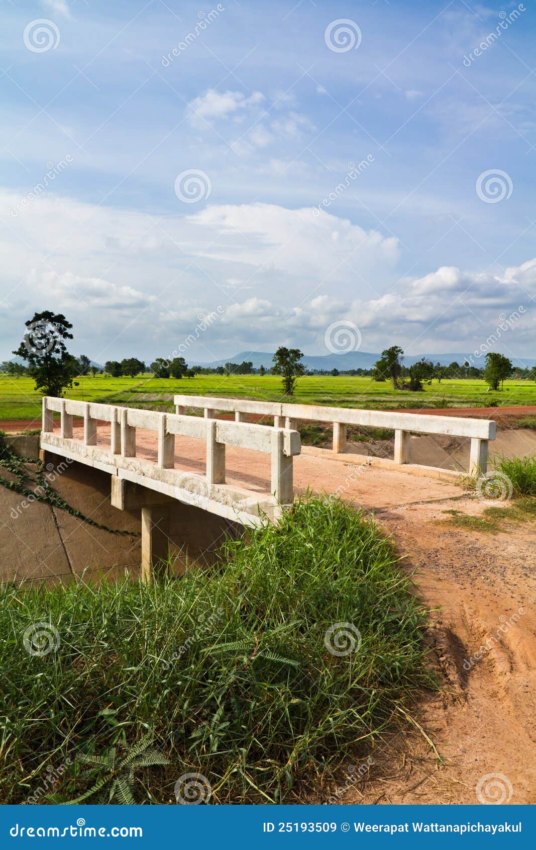 Bridge in farmland stock image. Image of agriculture - 25193509