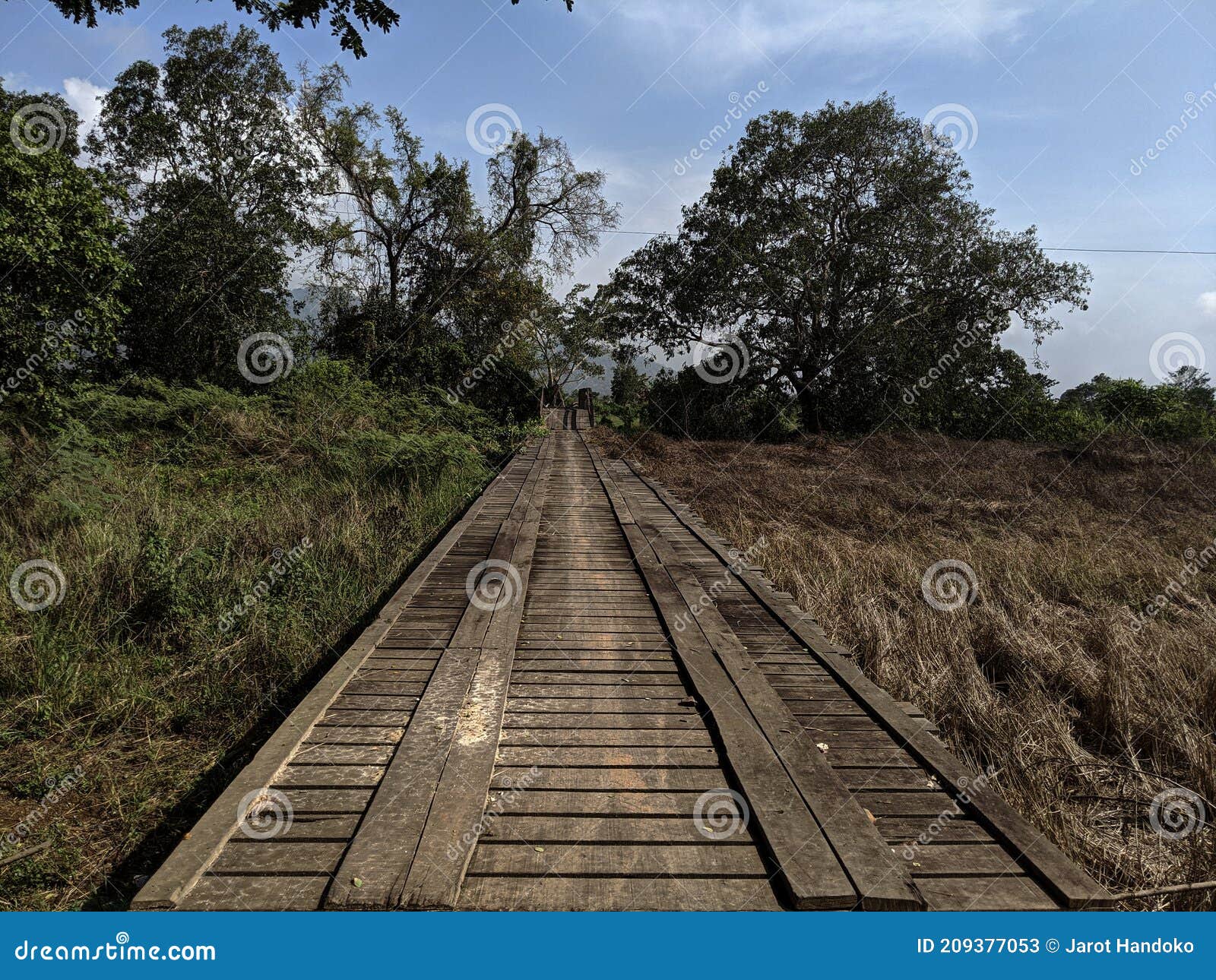 Bridge on the field stock image. Image of fiel, bridge - 209377053