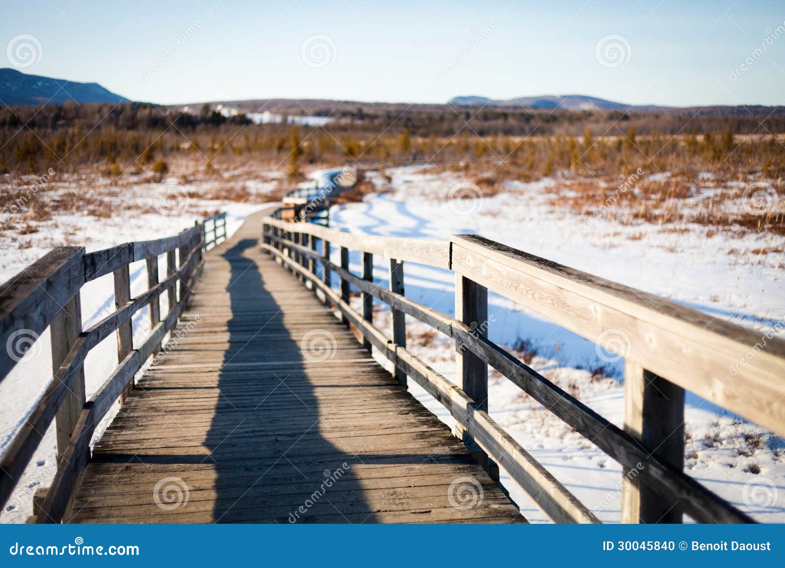 The bridge in the field stock photo. Image of landscape - 30045840