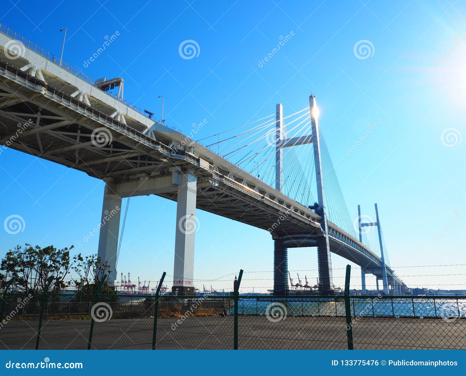 Bridge, Fixed Link, Extradosed Bridge, Suspension Bridge Picture. Image ...