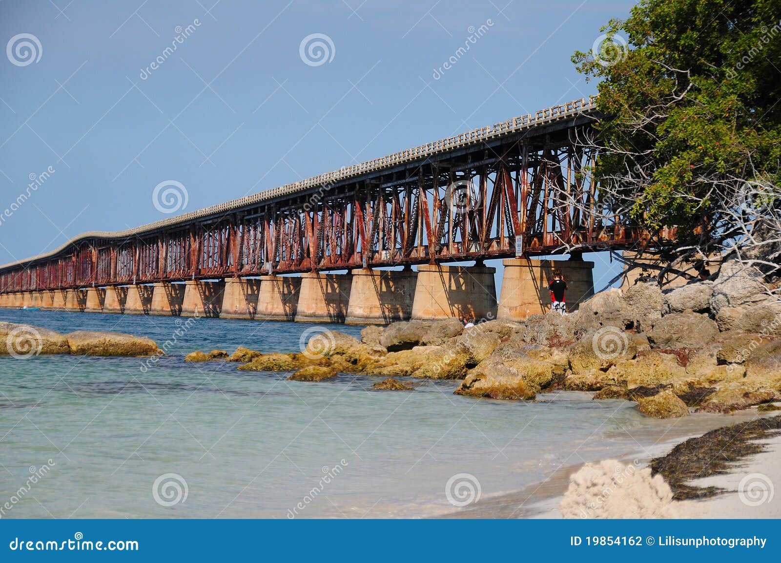 Bridge in Florida Keys stock photo. Image of landscape - 19854162