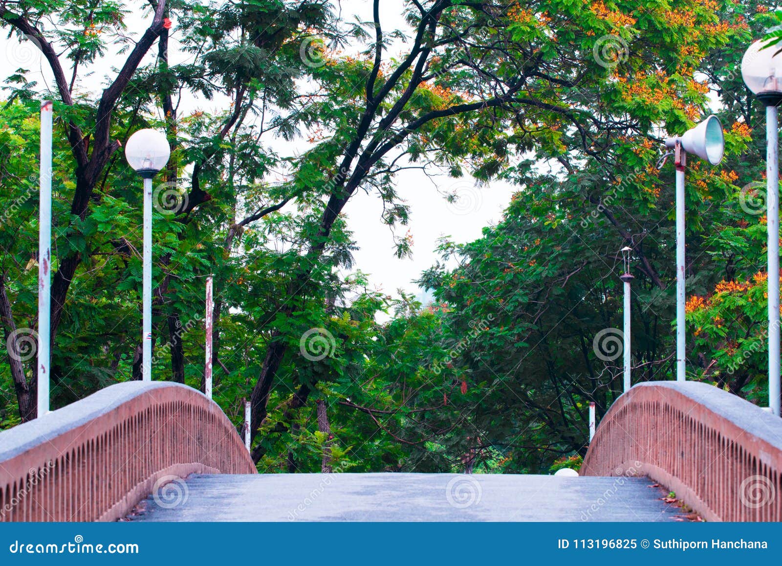 Bridge in the Flower Garden Stock Image - Image of garden, beautiful ...