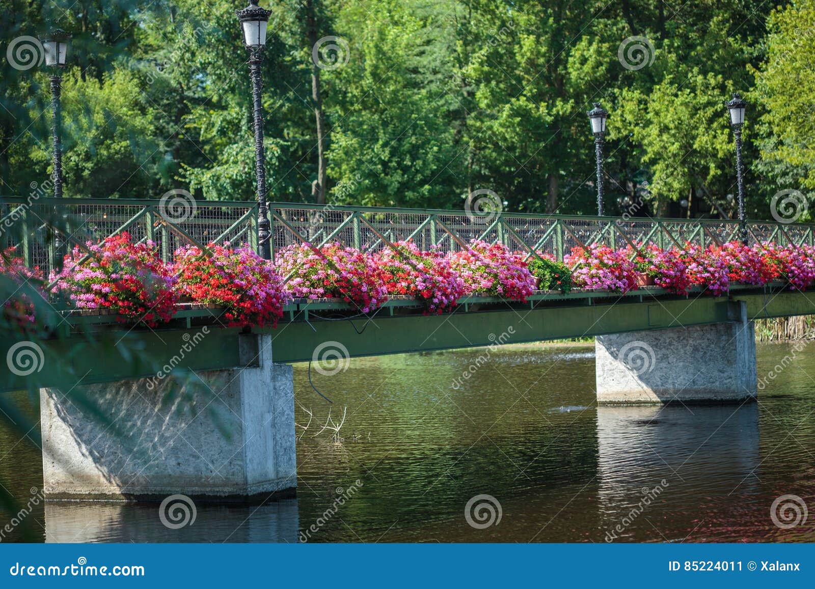 Bridge with flowers stock image. Image of nature, green - 85224011