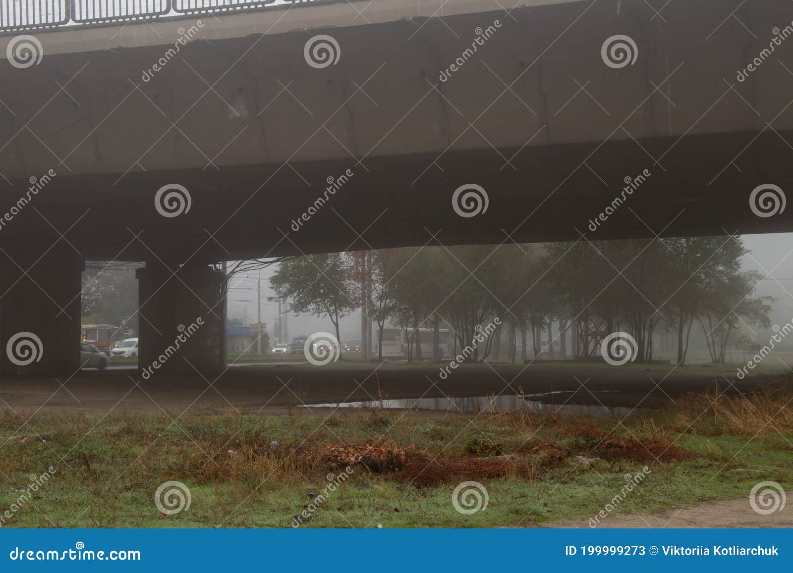 Bridge in the Fog, Concrete Bridge Columns in the Fog Stock Image ...