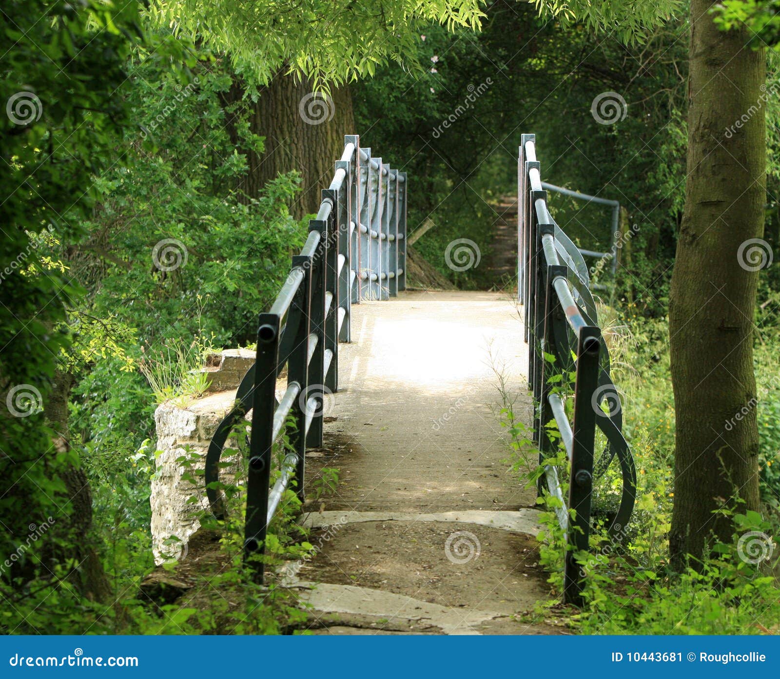 Bridge through forest stock image. Image of countryside - 10443681
