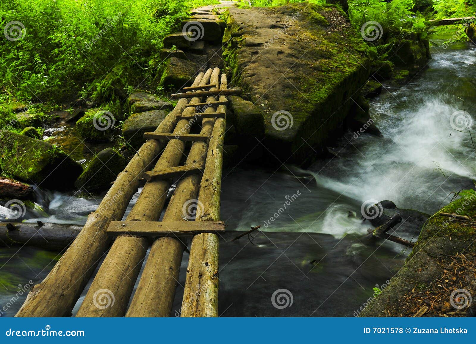 Bridge in the forest stock photo. Image of fresh, line - 7021578