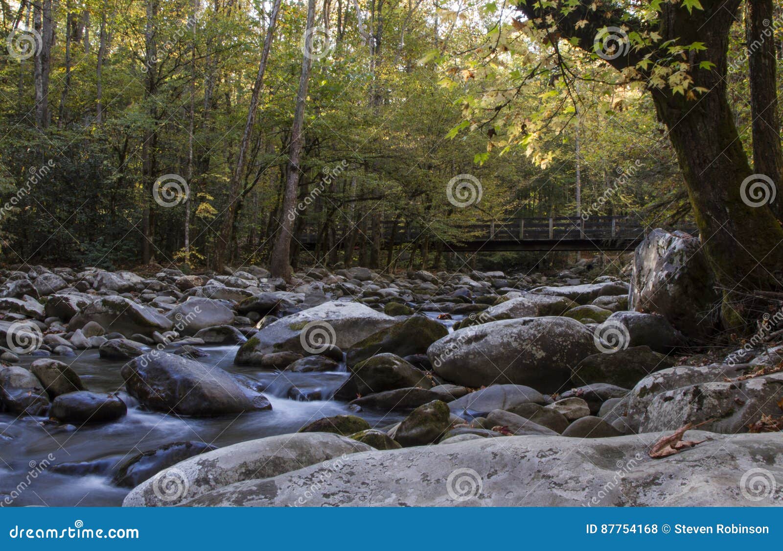 Bridge in Forest with Brook Flowing Over Rocks Stock Photo - Image of ...