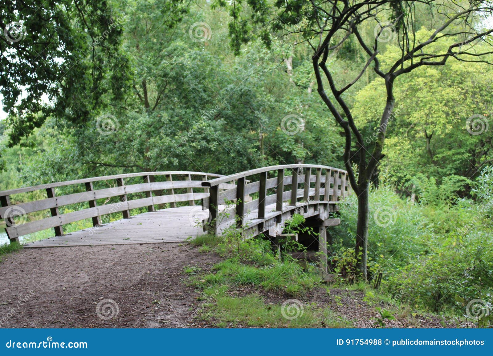 Bridge In Forest Picture. Image: 91754988