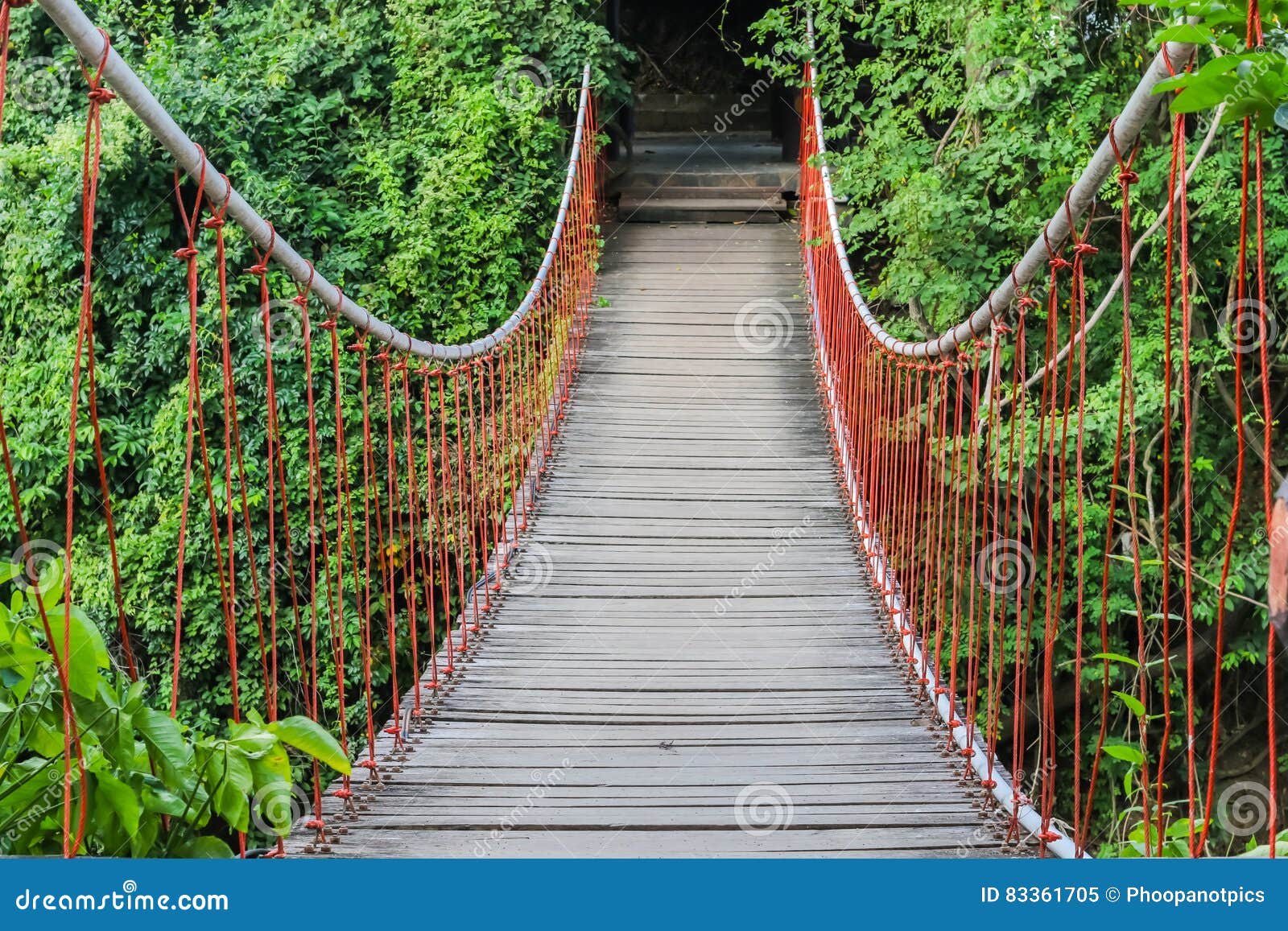 Bridge in forest stock image. Image of river, architecture - 83361705