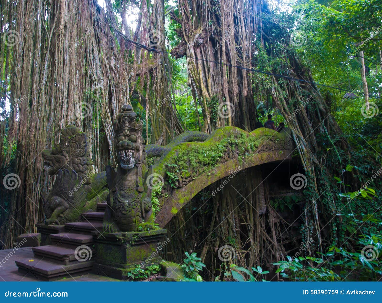 Bridge in the Forest of Monkeys Stock Image - Image of indonesia ...