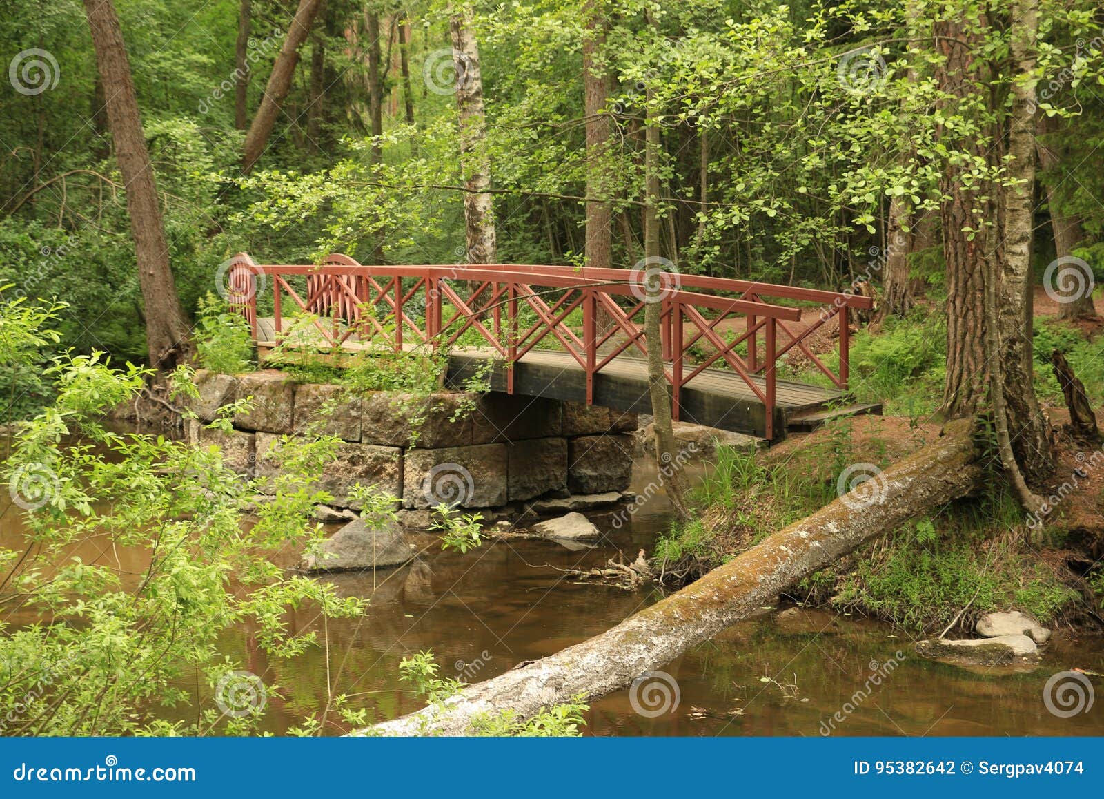 Bridge in the forest stock photo. Image of reserve, peace - 95382642