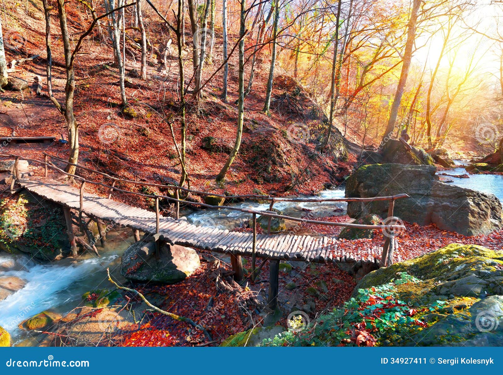 Bridge in the forest stock image. Image of autumn, flowing - 34927411