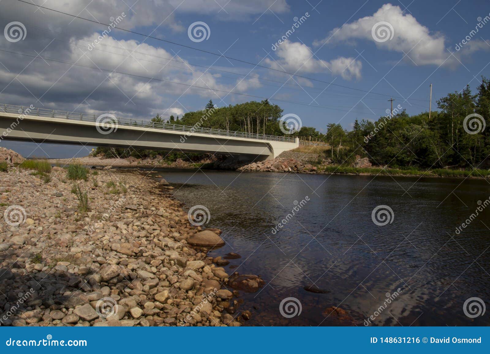 A Bridge Going Over a River with Forest on the Right Hand Side Stock ...