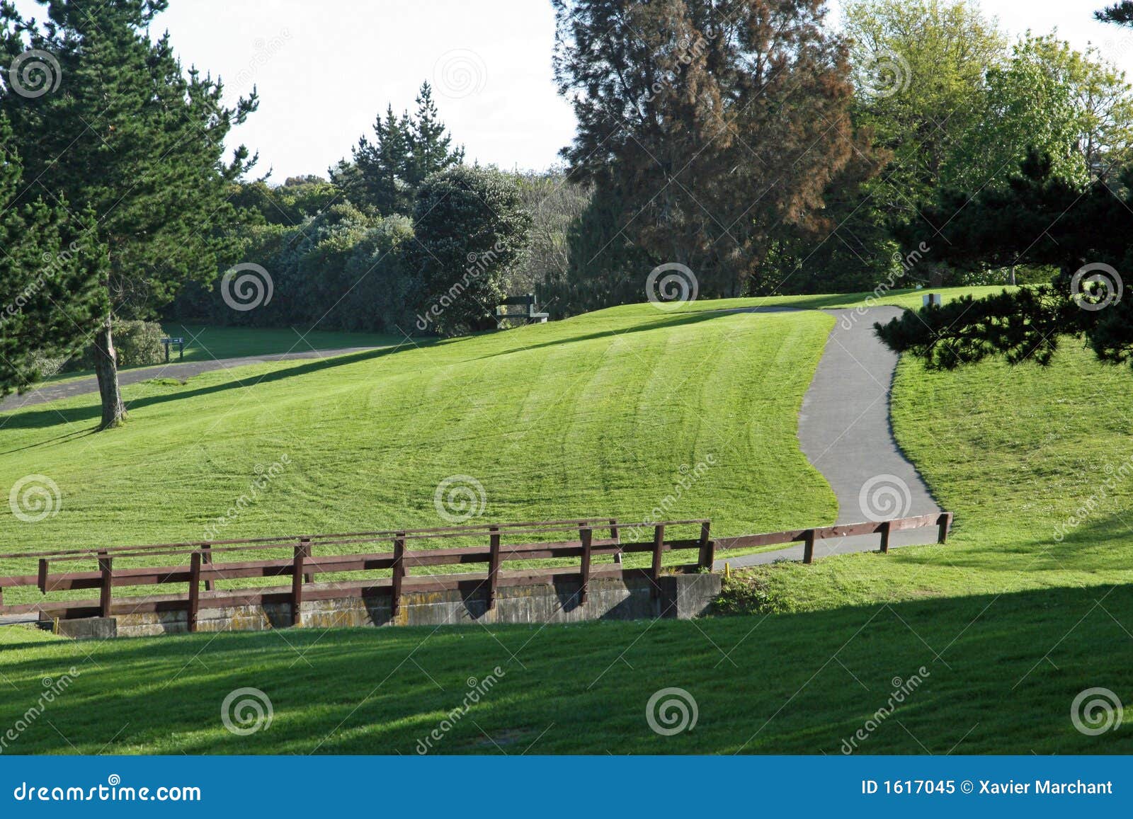 Bridge on a golf course stock image. Image of training - 1617045