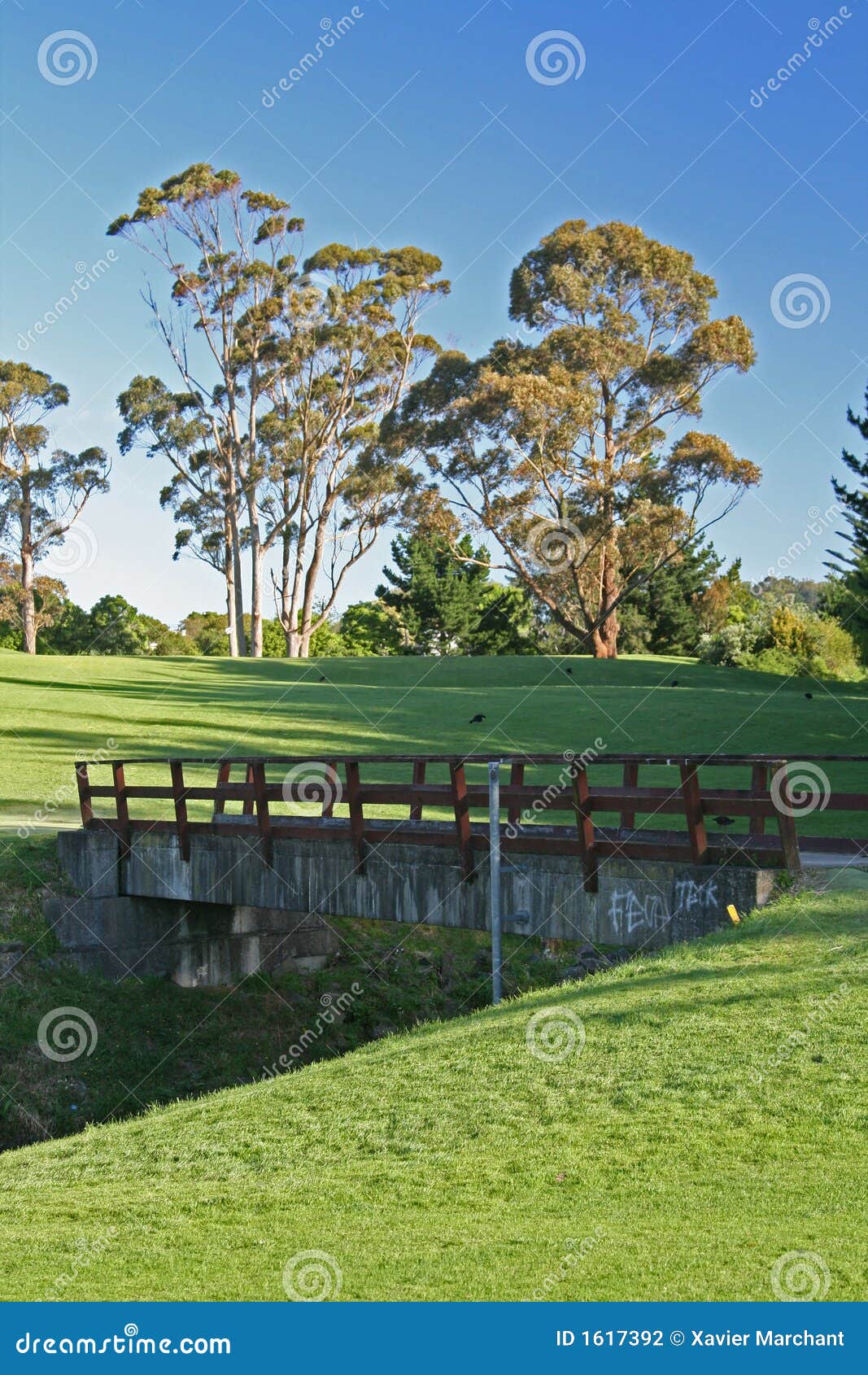 Bridge on a golf course stock photo. Image of ball, caddy - 1617392