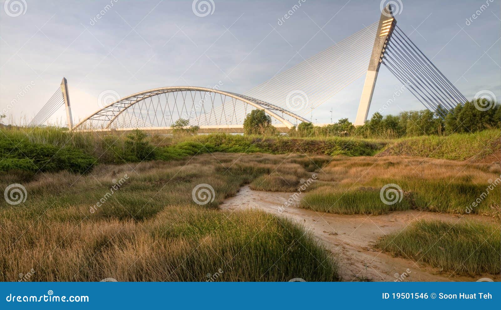 The bridge and the grass stock photo. Image of malaysia - 19501546
