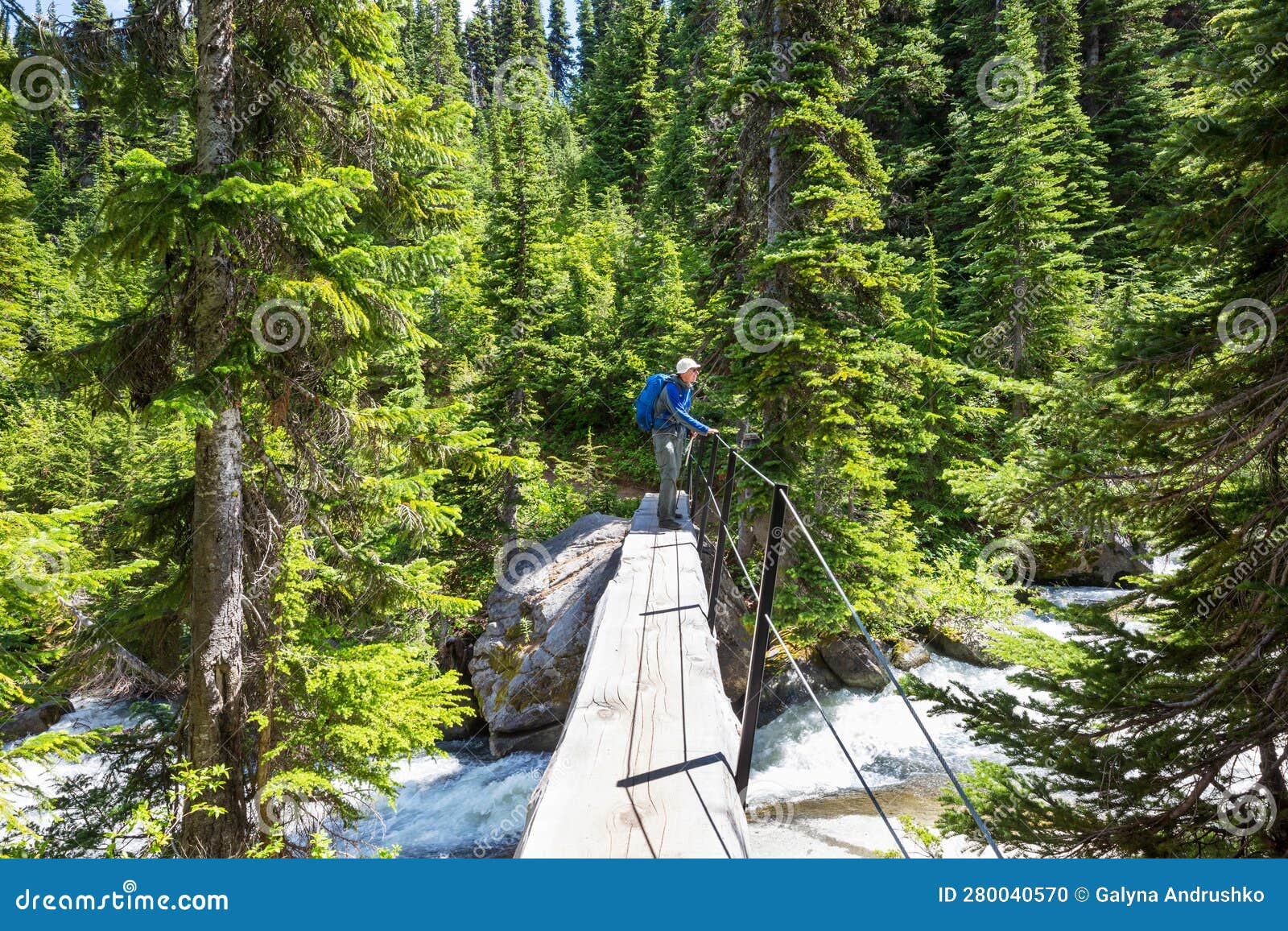 Bridge in hike stock photo. Image of person, yosemite - 280040570