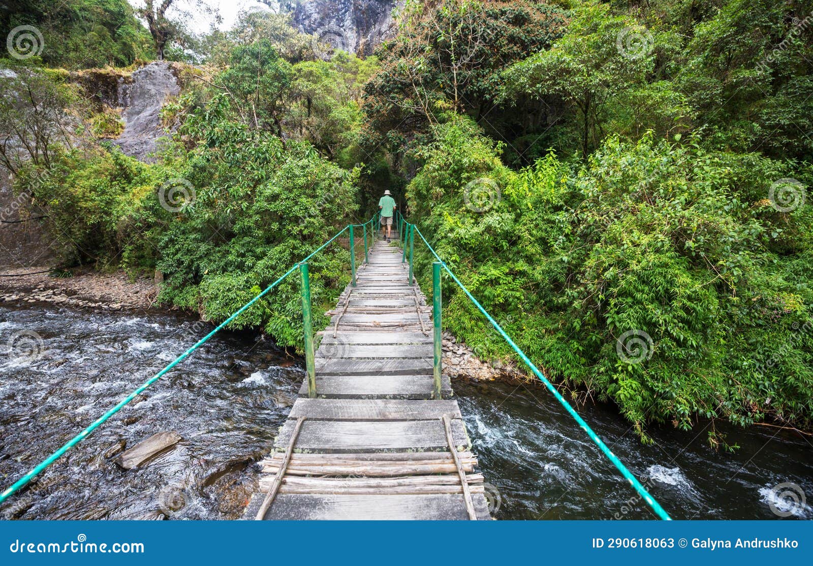 Bridge in hike stock image. Image of hike, summer, river - 290618063