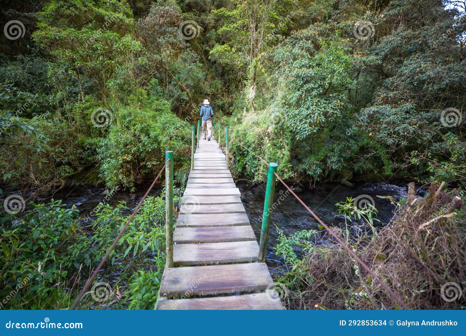 Bridge in hike stock photo. Image of bridge, wooden - 292853634