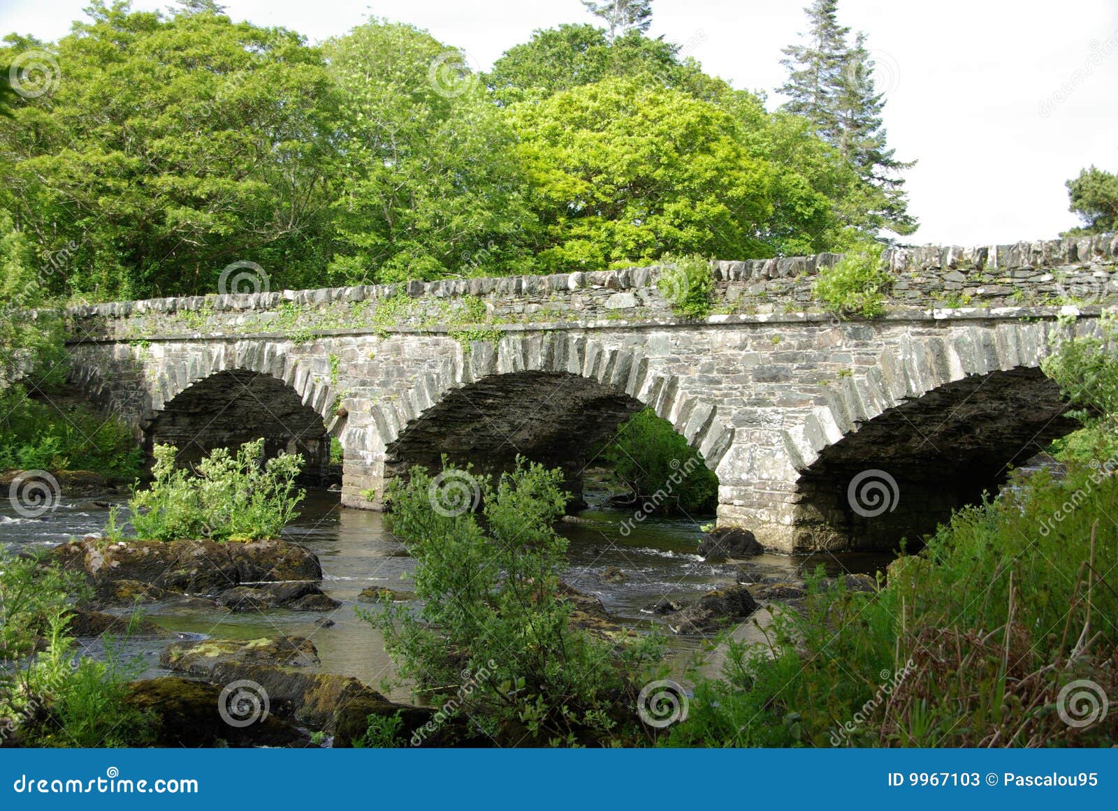 Bridge in Ireland stock image. Image of torrent, crossing - 9967103