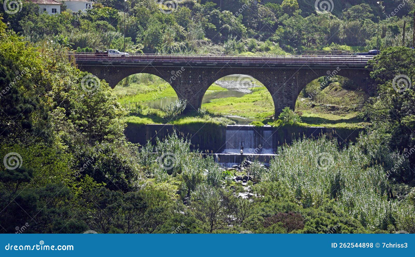 Bridge on the Island of Madeira Stock Photo - Image of street, madeira ...