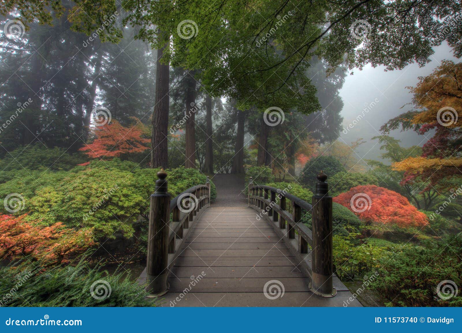 The Bridge in Japanese Garden Stock Photo - Image of fall, bridge: 11573740