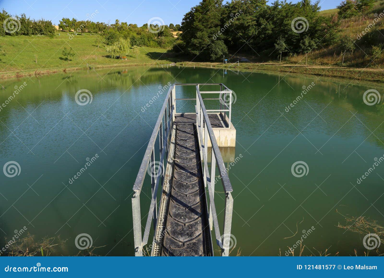 The bridge on the lake stock image. Image of forest - 121481577