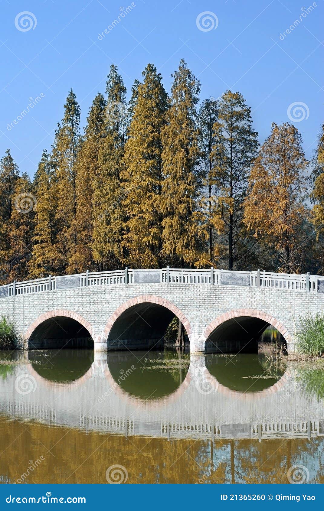 Bridge on the lake stock photo. Image of summer, architecture - 21365260