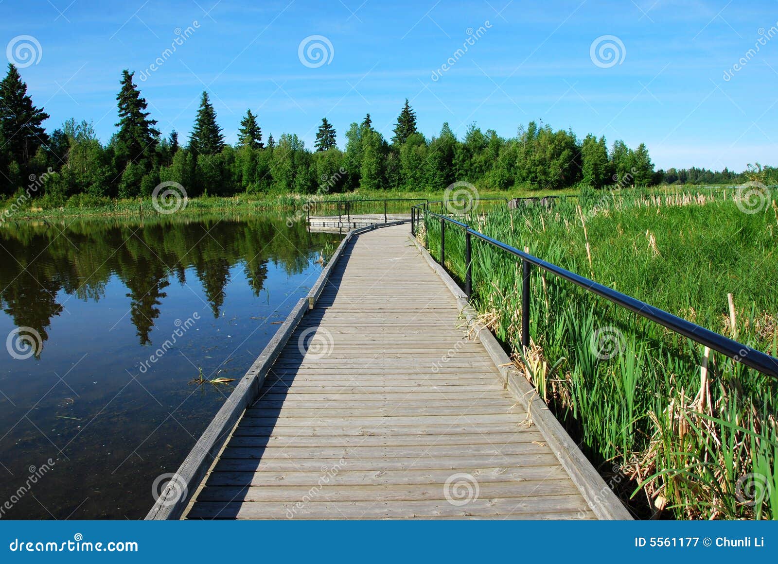 Bridge on the lake stock image. Image of leisure, relaxing - 5561177