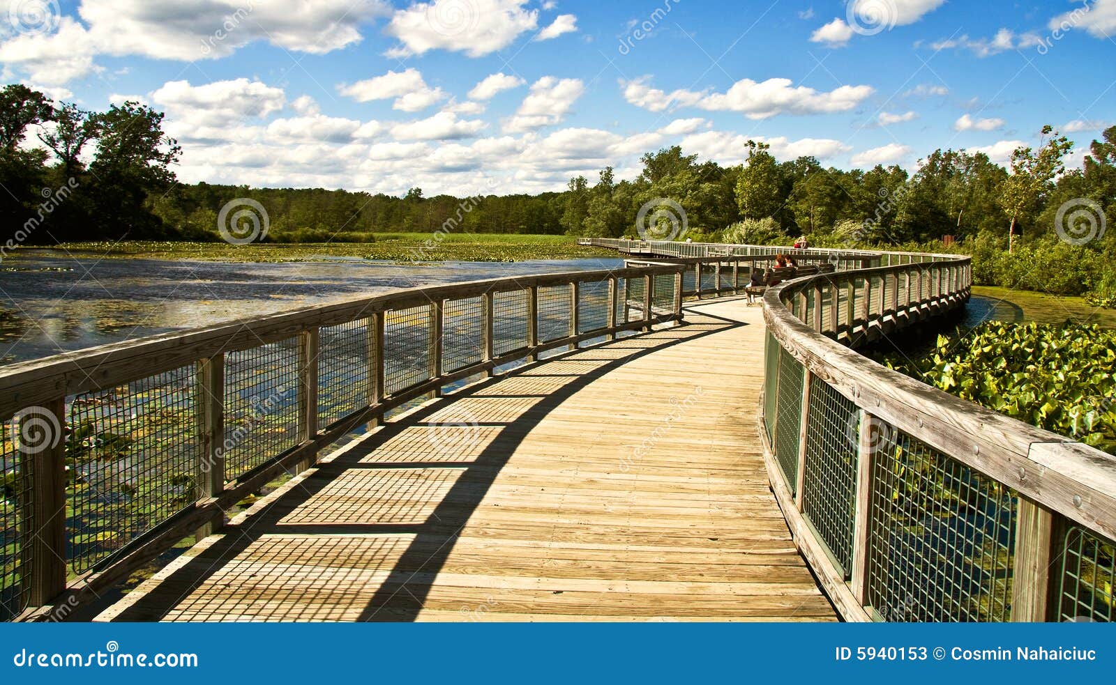 Bridge on the lake stock image. Image of park, walk, bridge - 5940153
