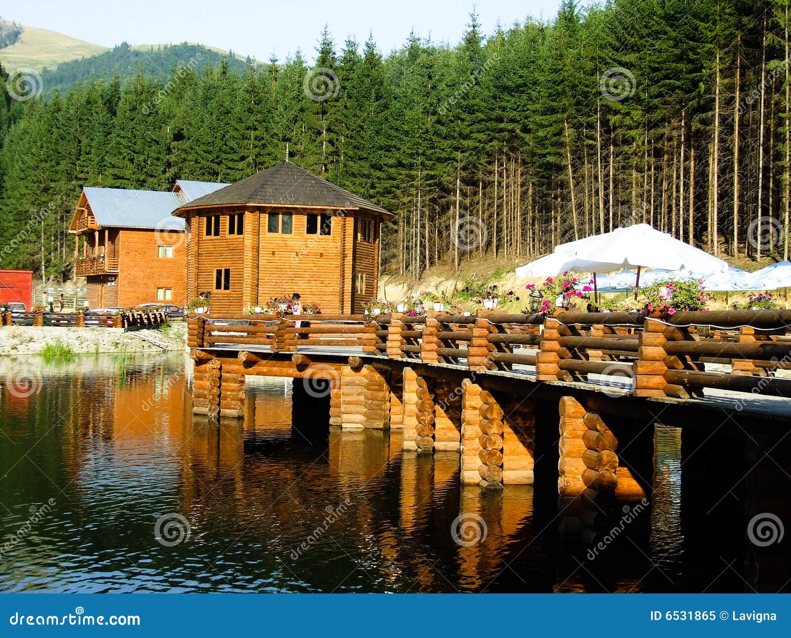 Bridge on the lake stock image. Image of flora, backyard - 6531865