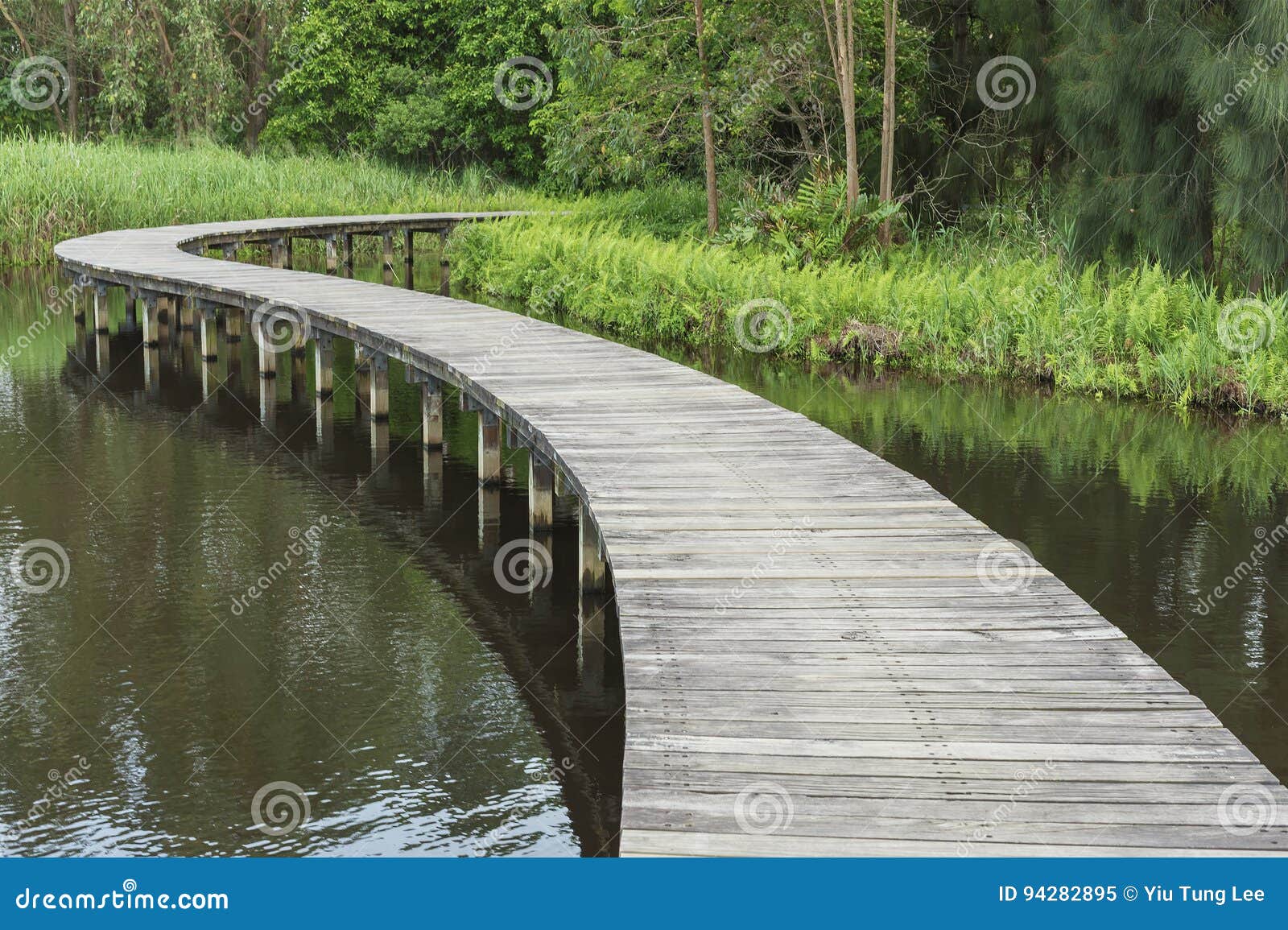 Bridge and lake stock image. Image of landscape, diminishing - 94282895