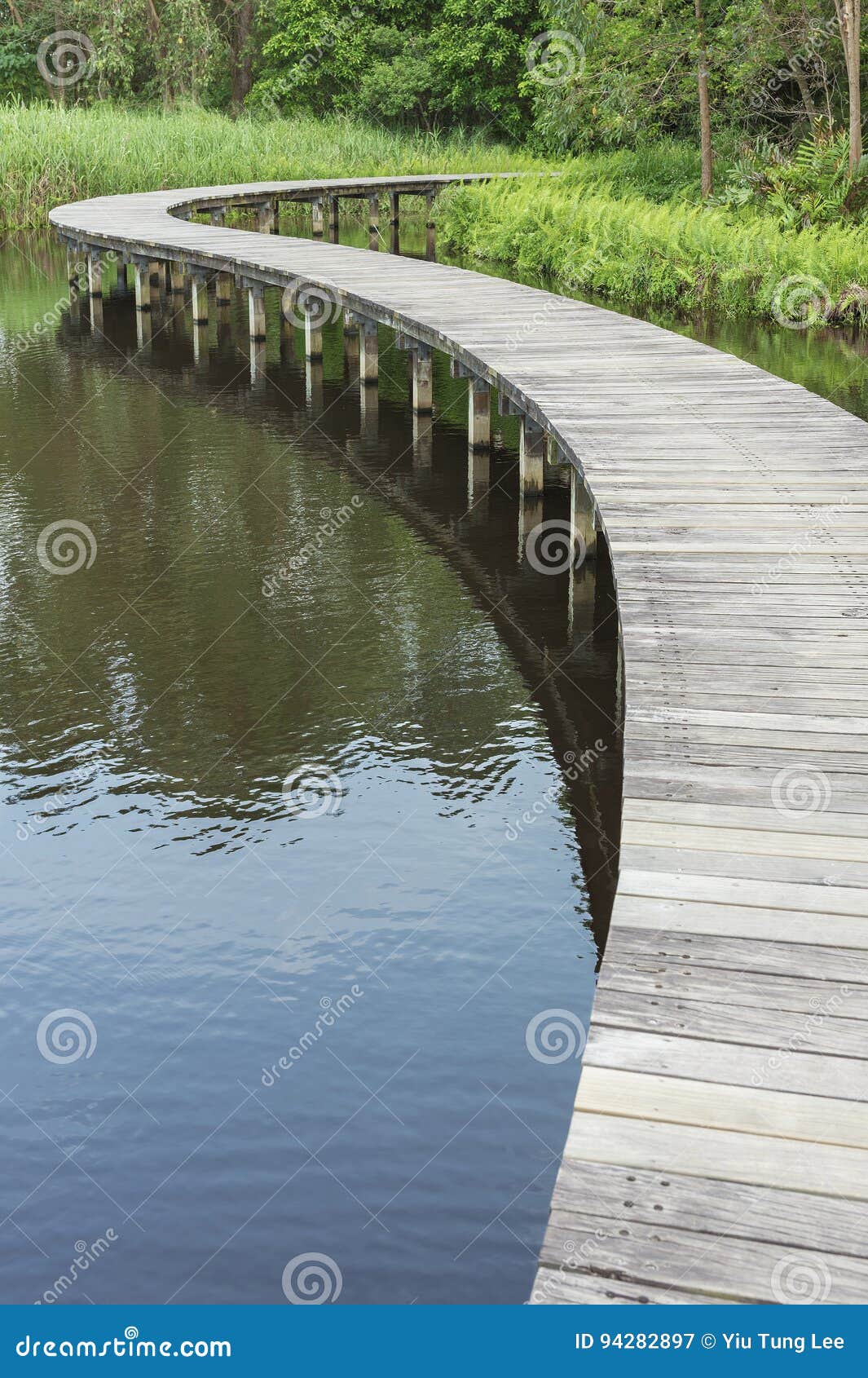 Bridge and lake stock image. Image of lush, green, destination - 94282897