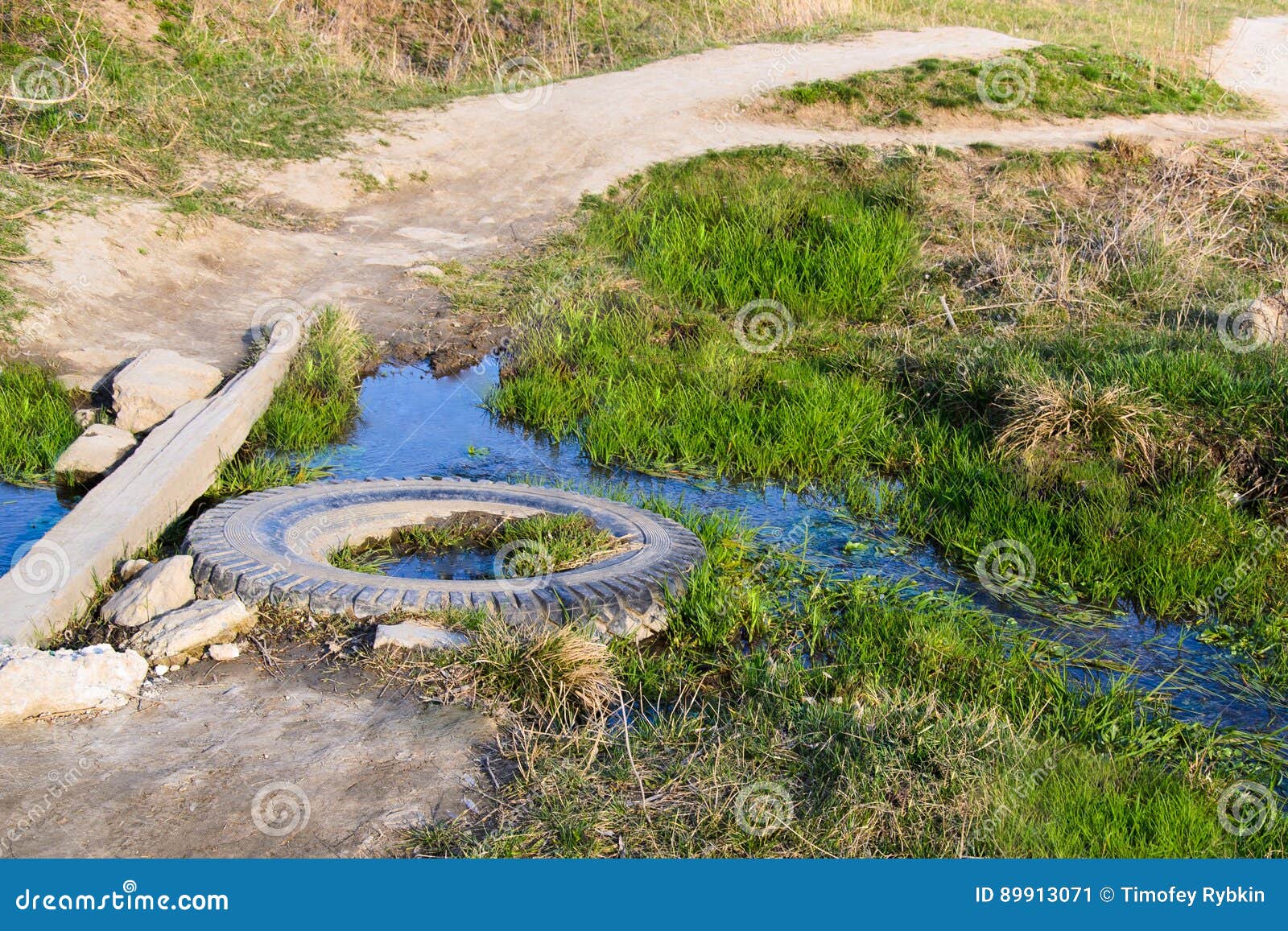 A Bridge of Logs Across a Stream Stock Image - Image of beautiful ...