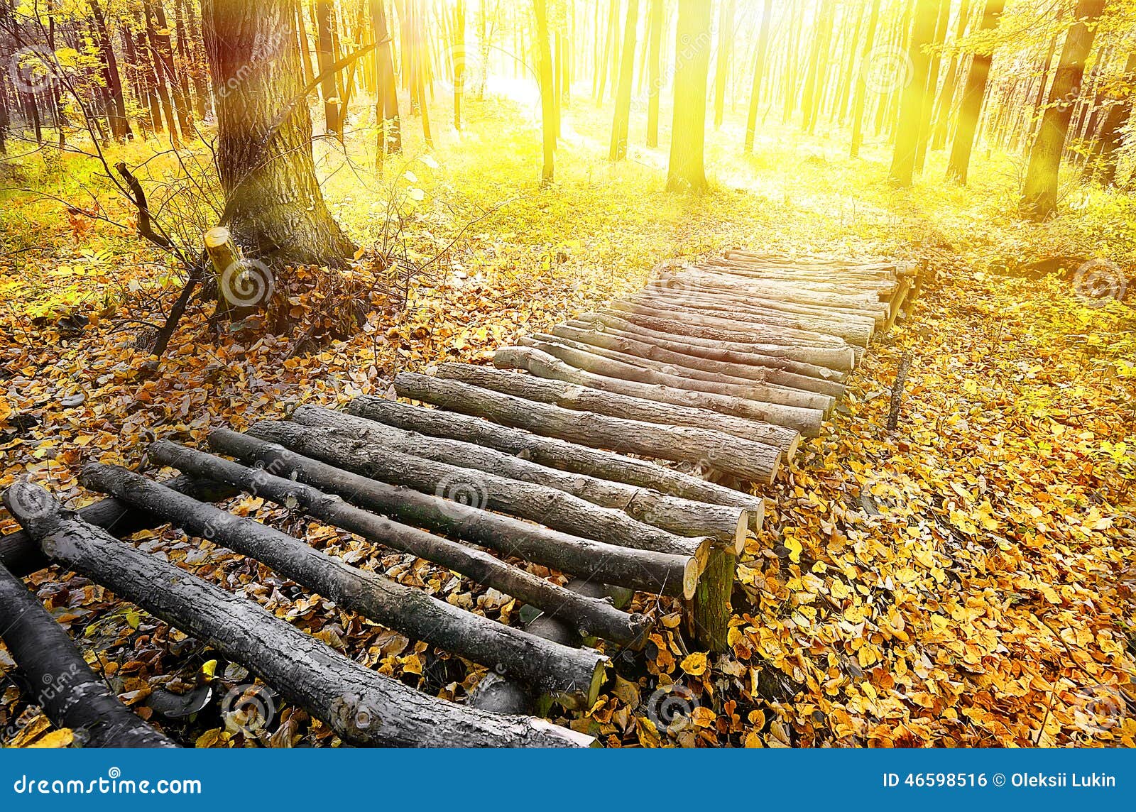 Bridge of logs stock photo. Image of nature, river, landscapes - 46598516
