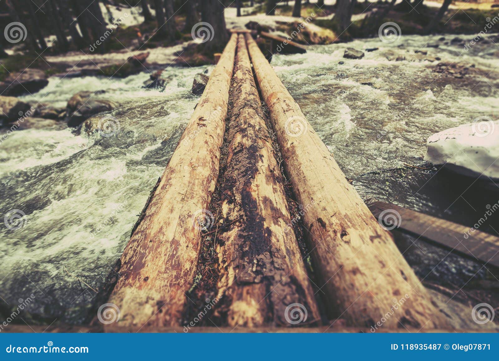 A Bridge of Logs Across a Mountain River Stock Image - Image of ...