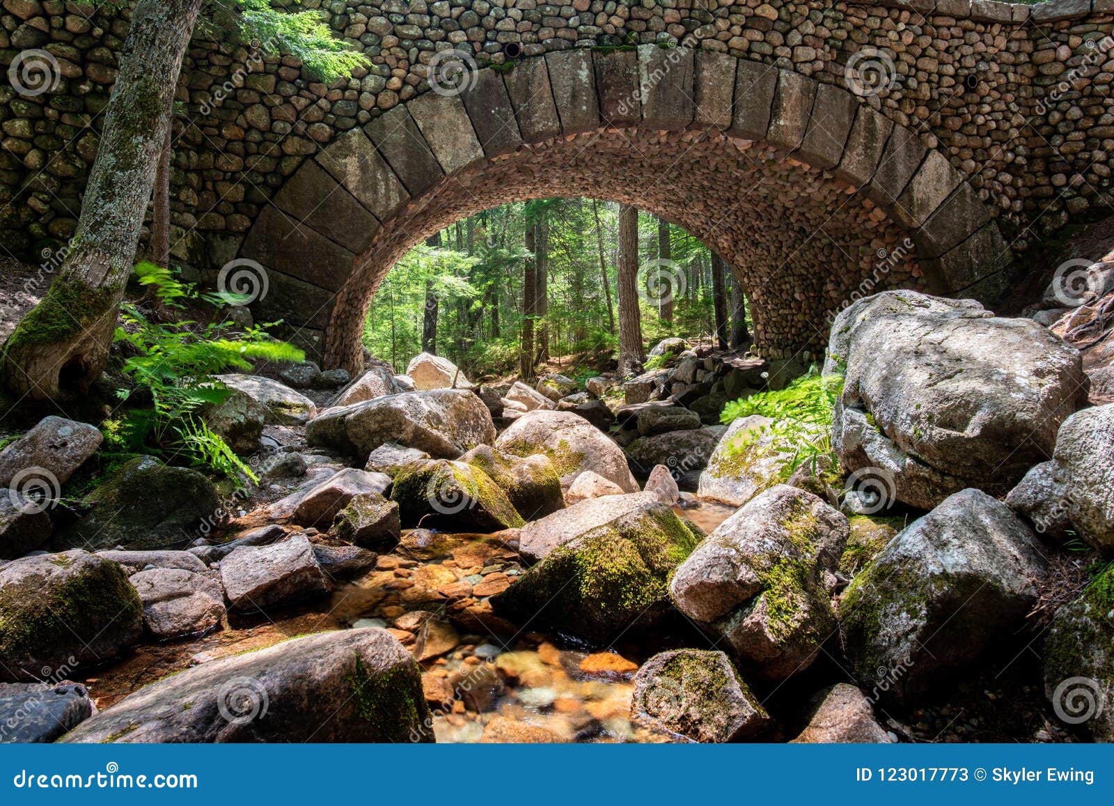 Bridge Made from Round Stone in Acadia National Park Stock Image ...