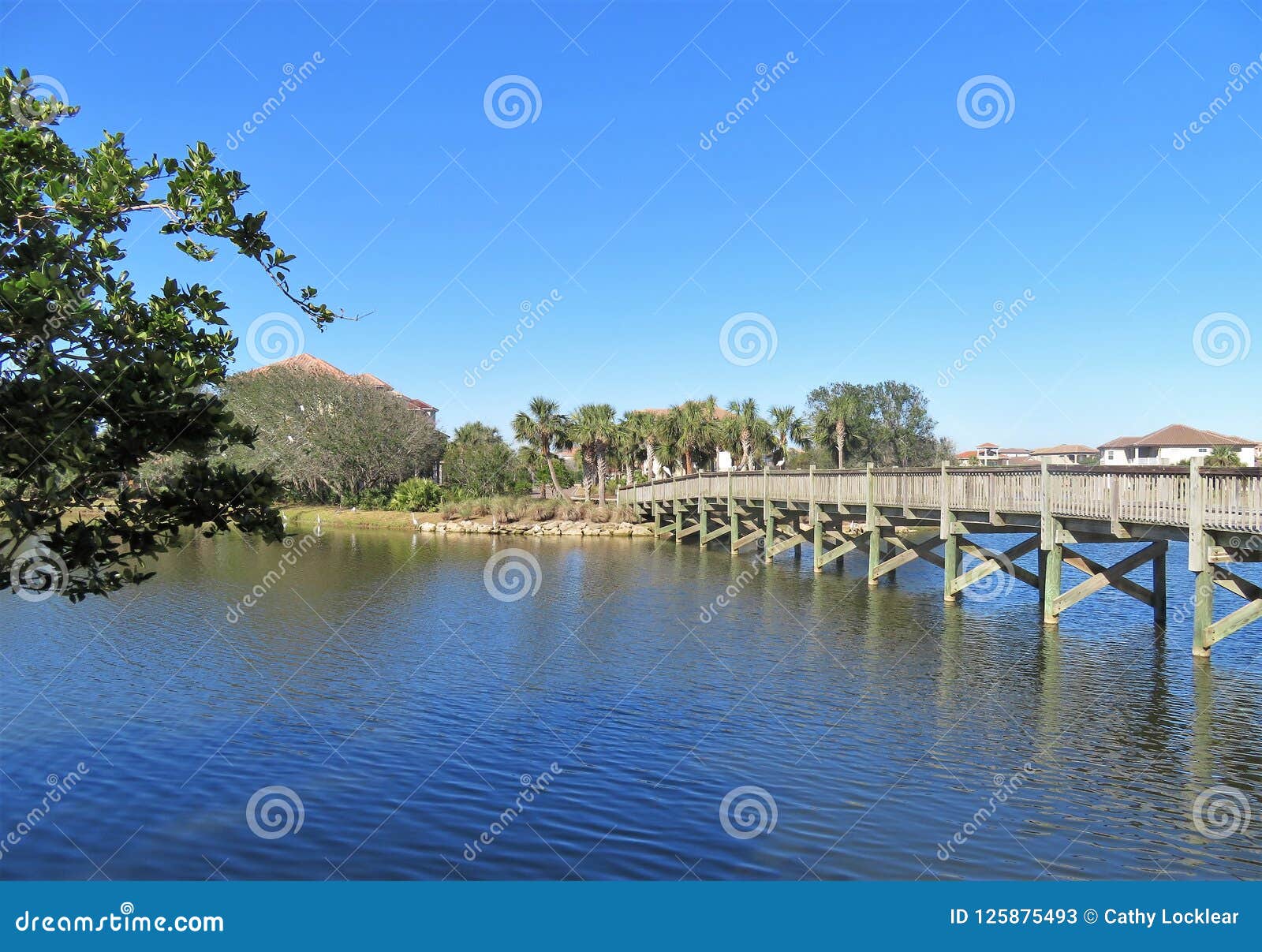 Bridge Made of Wooden Over a Lake; Stock Image - Image of lake, trees ...