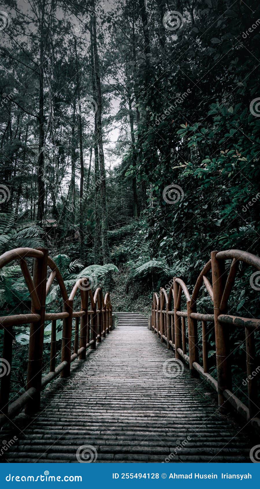 The Bridge in the Middle of the Forest, Majalengka, West Java Editorial ...