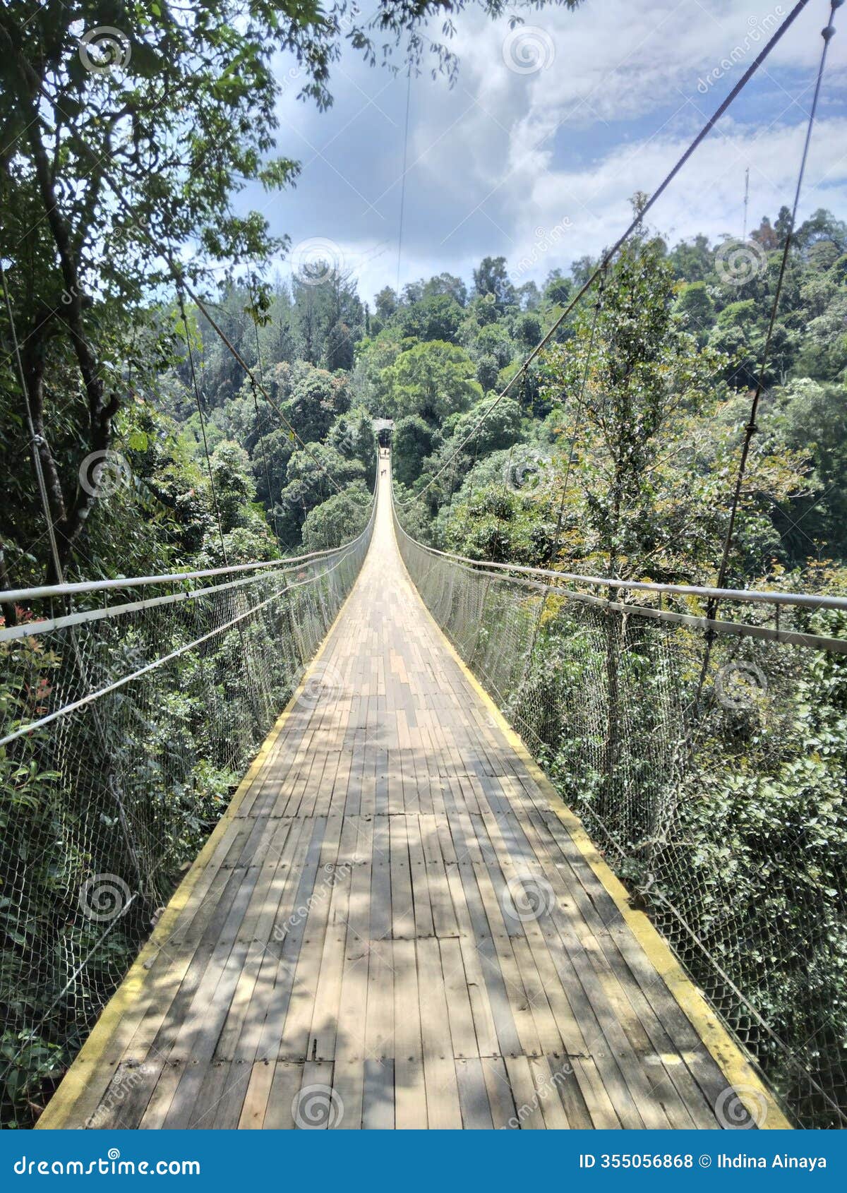 Bridge at the Middle of Indonesian Forest Stock Photo - Image of trail ...