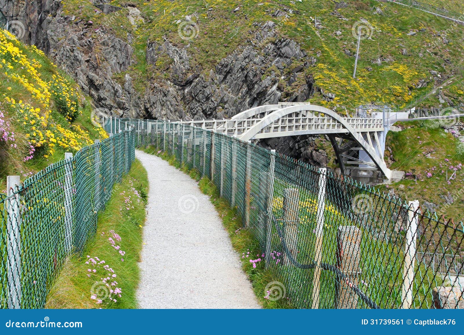 Bridge of Mizen Head Lighthouse Stock Image - Image of outdoor ...
