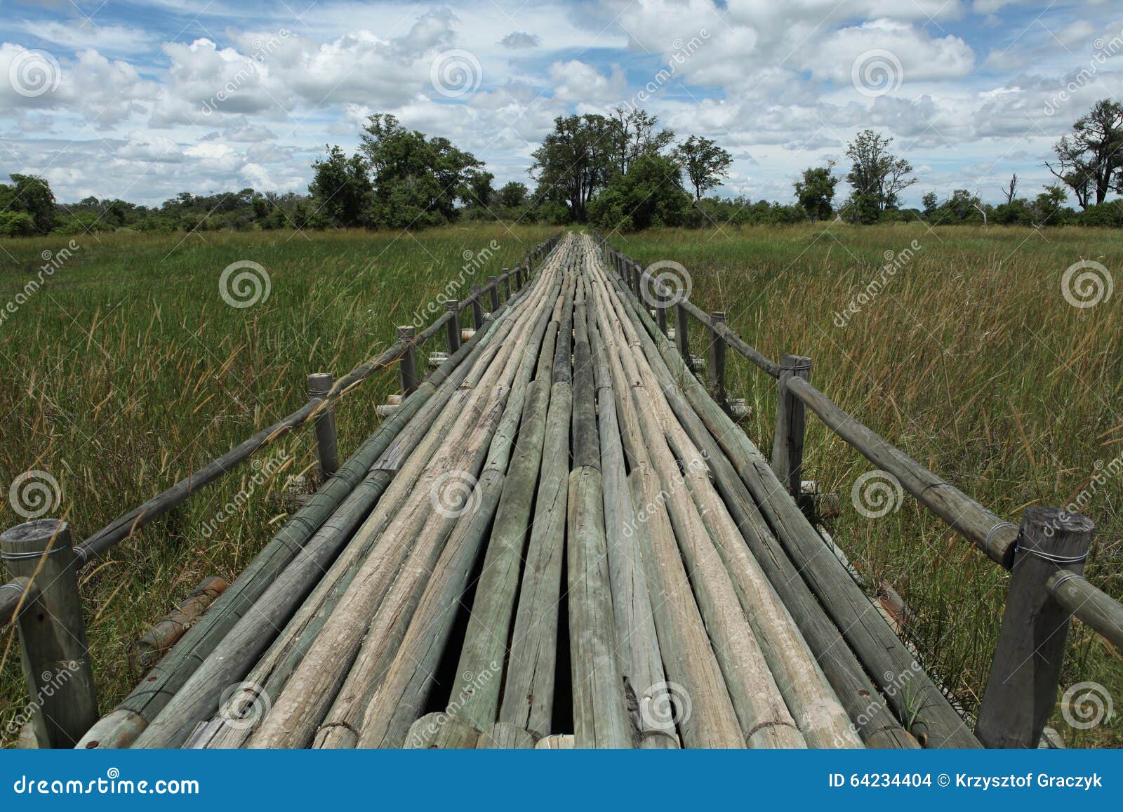 Solid Wooden Bridge in Africa Stock Photo - Image of okavango, fare ...