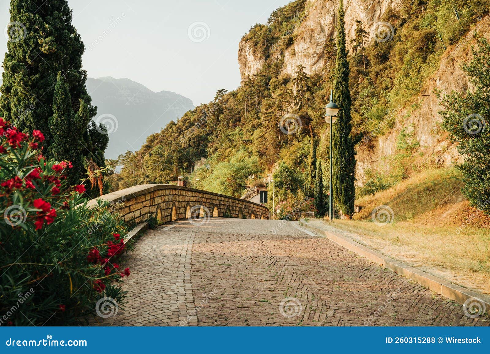 Bridge between Mountains Surrounded by Greenery Stock Photo - Image of ...