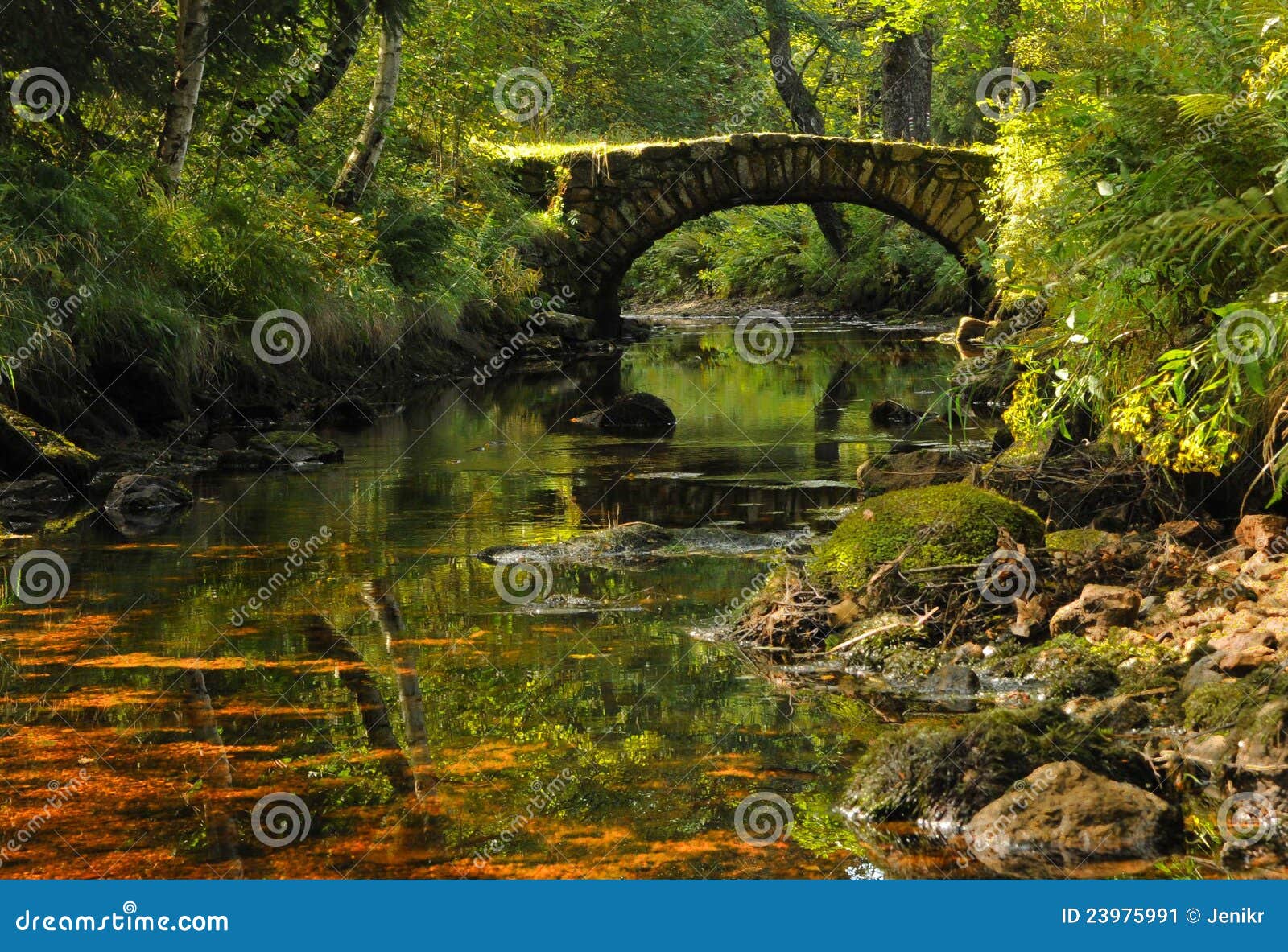 Bridge in the nature stock image. Image of water, impress - 23975991