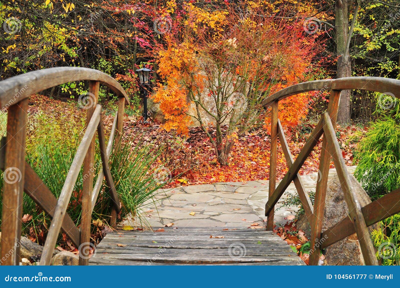 Bridge nature autumn stock image. Image of fall, natural - 104561777