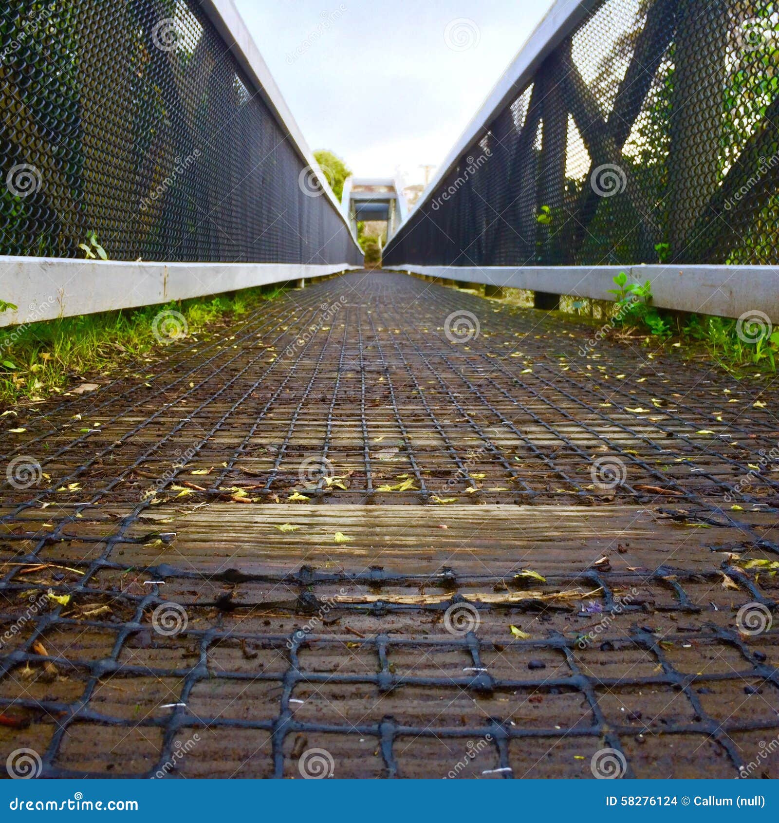 Bridge net editorial stock image. Image of point, bridge - 58276124