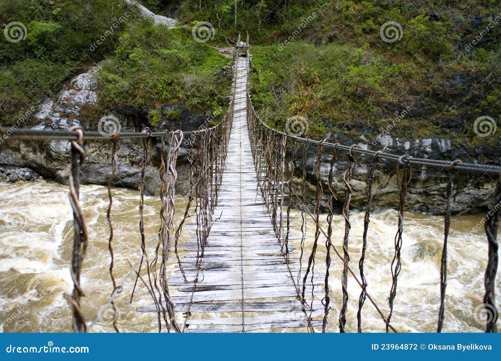 The bridge in New Guinea stock photo. Image of bridge - 23964872