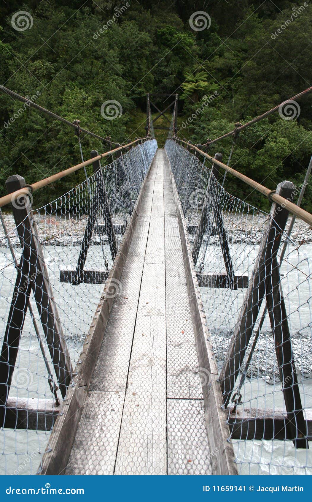 Bridge in New Zealand stock image. Image of trees, water - 11659141